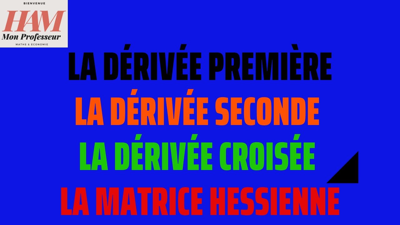 TD9-Méthodes Quantitatives-EX7:Matrice Hessienne, La Dérivée Première ...