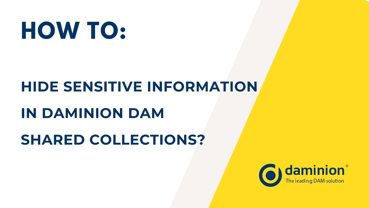 How to Hide Sensitive Information in Daminion Digital Asset Management ...