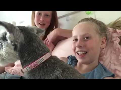 SHE DIDNT WATCH THE MOVIE•summer day 3•