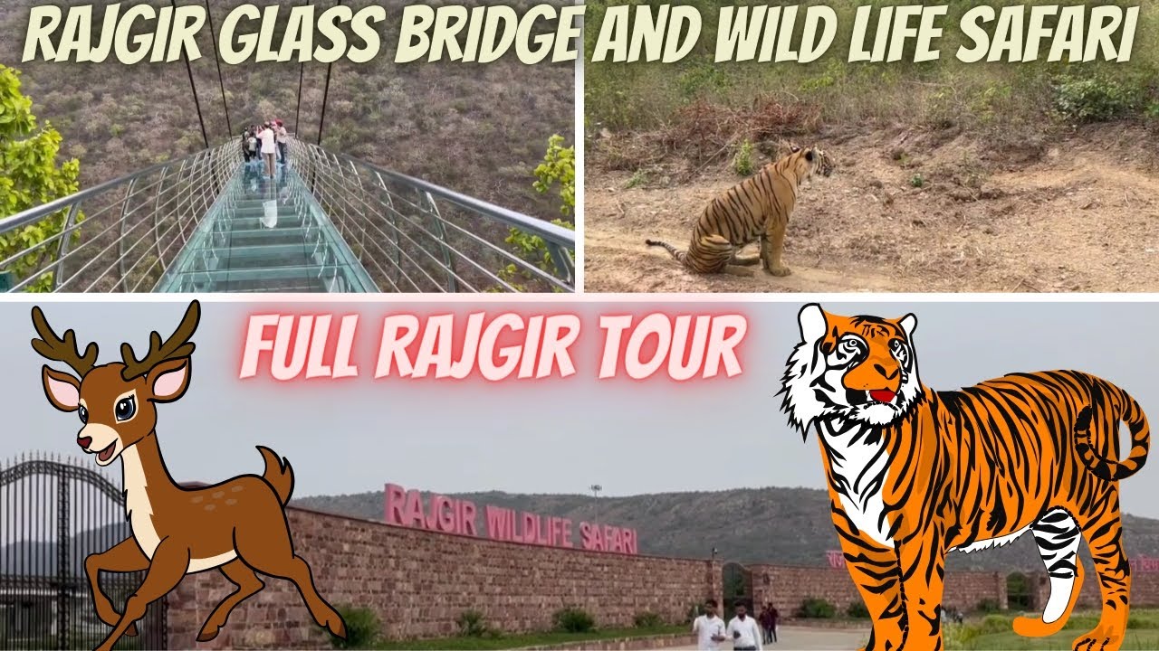 Rajgir Glass Bridge And Wild Life Safari | Full Rajgir Tour - YouTube