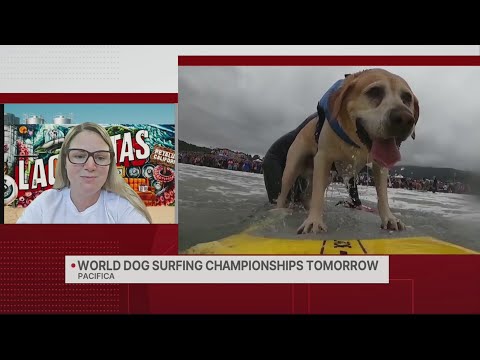 World Dog Surfing Championships return to Pacifica
