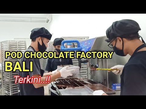 Bali Terkini.. POD Chocolate Factory Bali //Pabrik coklat - Tour Bali ...