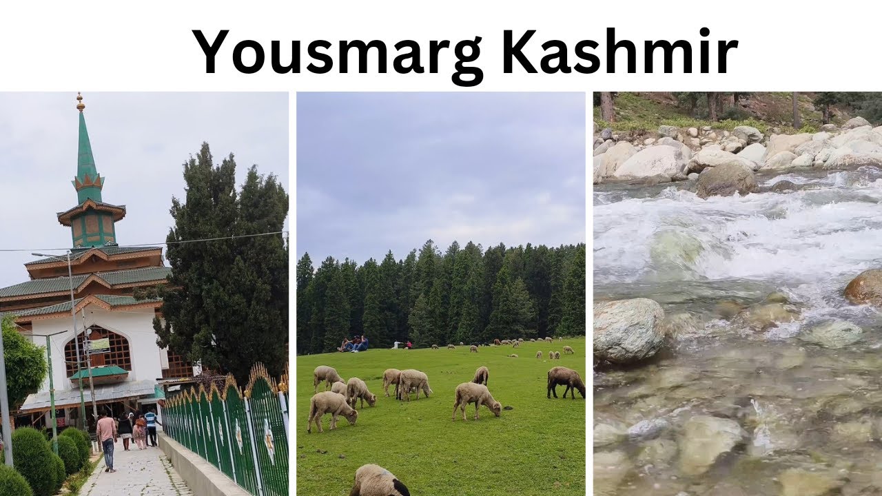 Yousmarg || Yousmarg in kashmir || Charar I shareif || kashmir tour ...