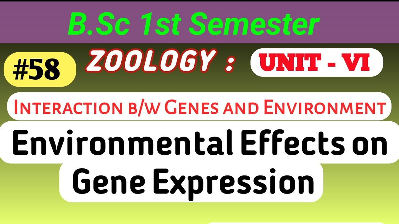 Environmental Effects On Gene Expression | Interaction between Gene and ...