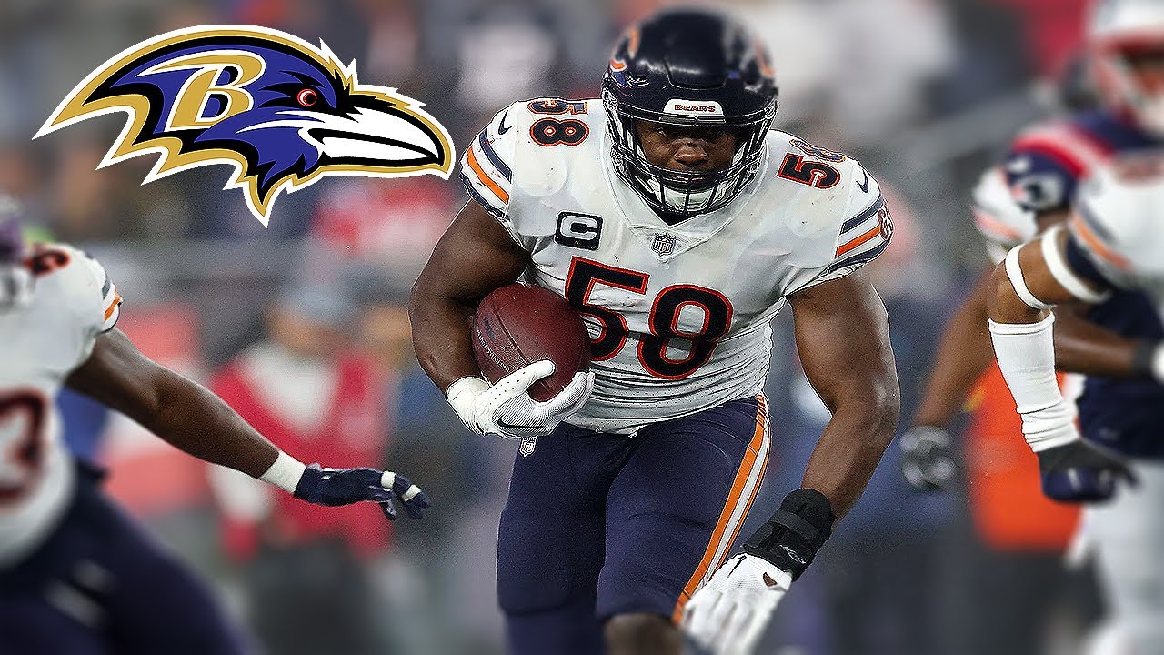 Roquan Smith Highlights 🔥 - Welcome to the Baltimore Ravens ᴴᴰ - YouTube