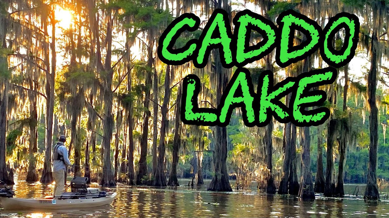 CADDO LAKE KAYAK FISHING - YouTube