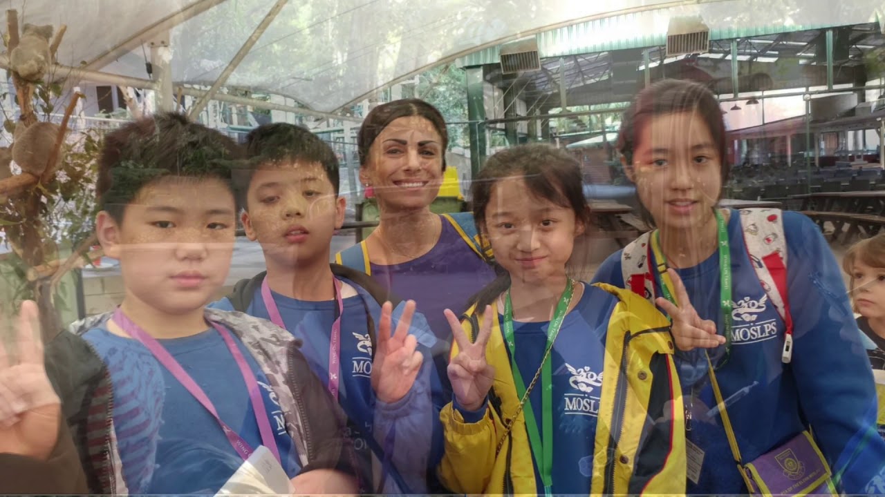 Australia Study Tour_Part2 (Brisbane) - YouTube