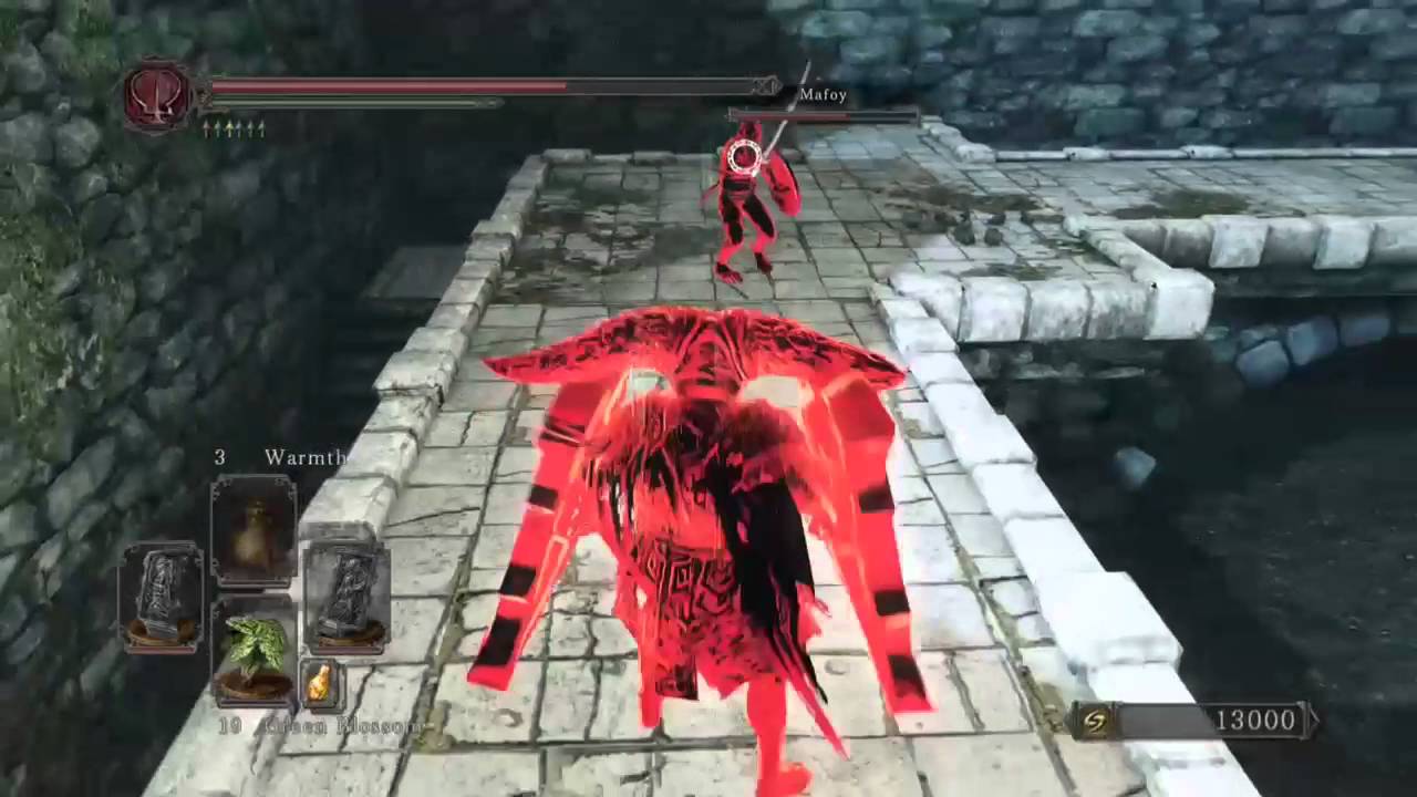 Dark Souls 2: Orma Reeve's dual wield shields PvP - YouTube