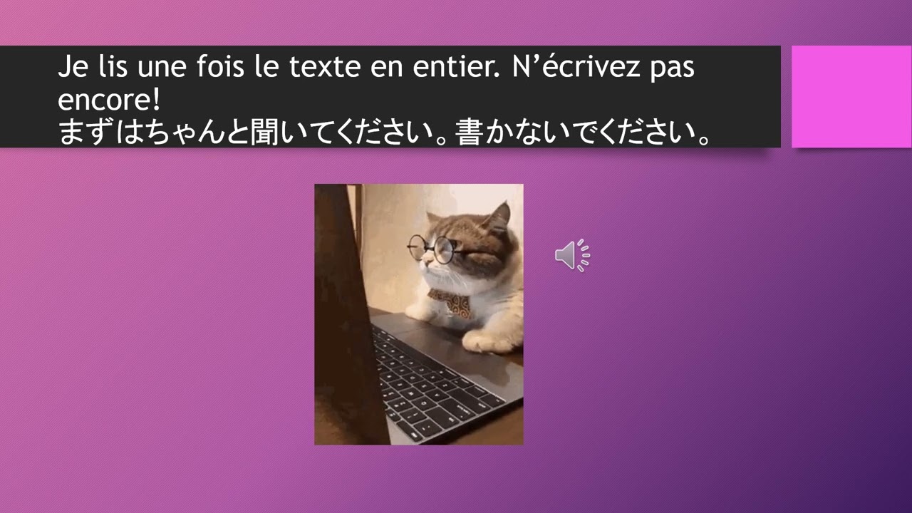 Dictée en français sur les vacances フランス語の書き取り French language ...