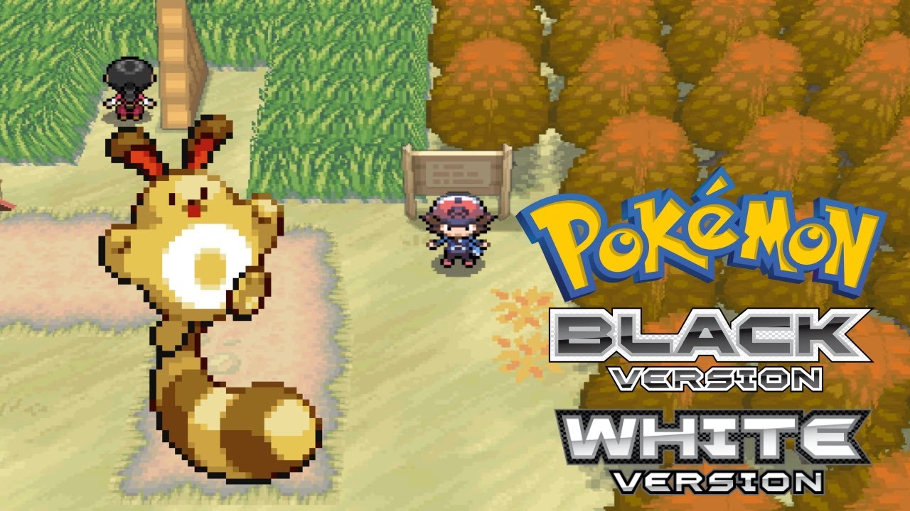 How to get Sentret in Pokemon Black & White - YouTube