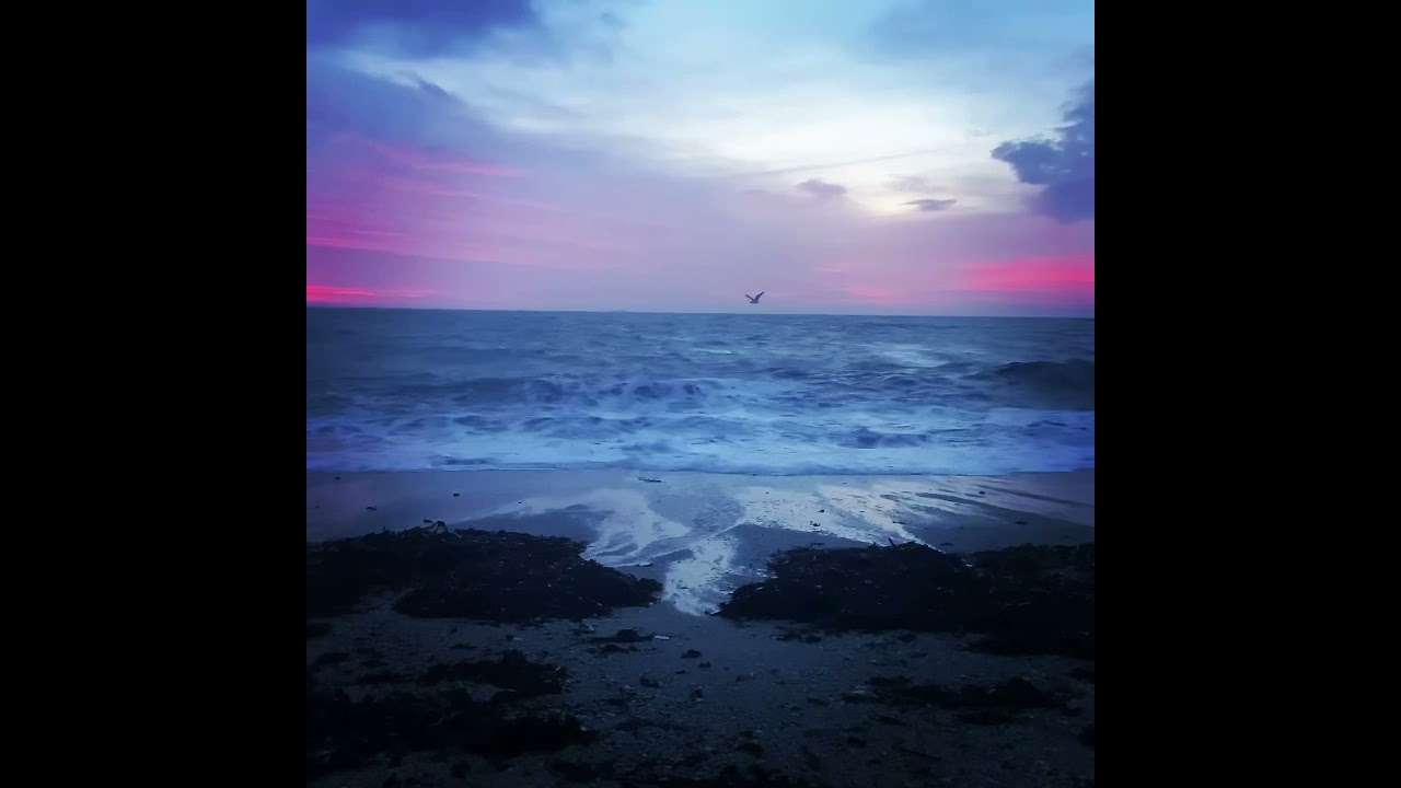 Dawns blush /distortion/ birds - YouTube