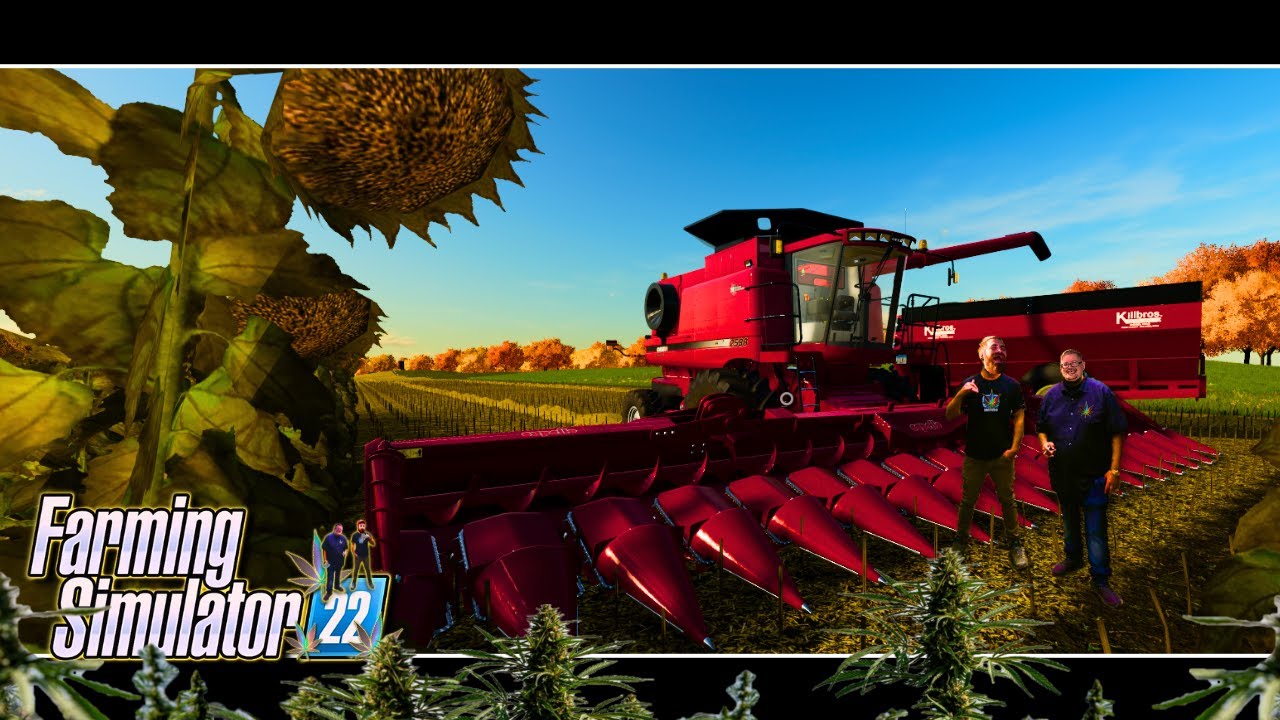 Sunflowers The Harvesting In Spring Creek ND 16x Map - Farming ...
