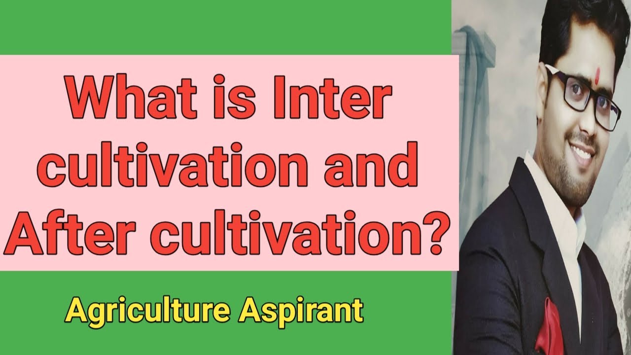 What is inter cultivation and after cultivation? Objectives of inter ...