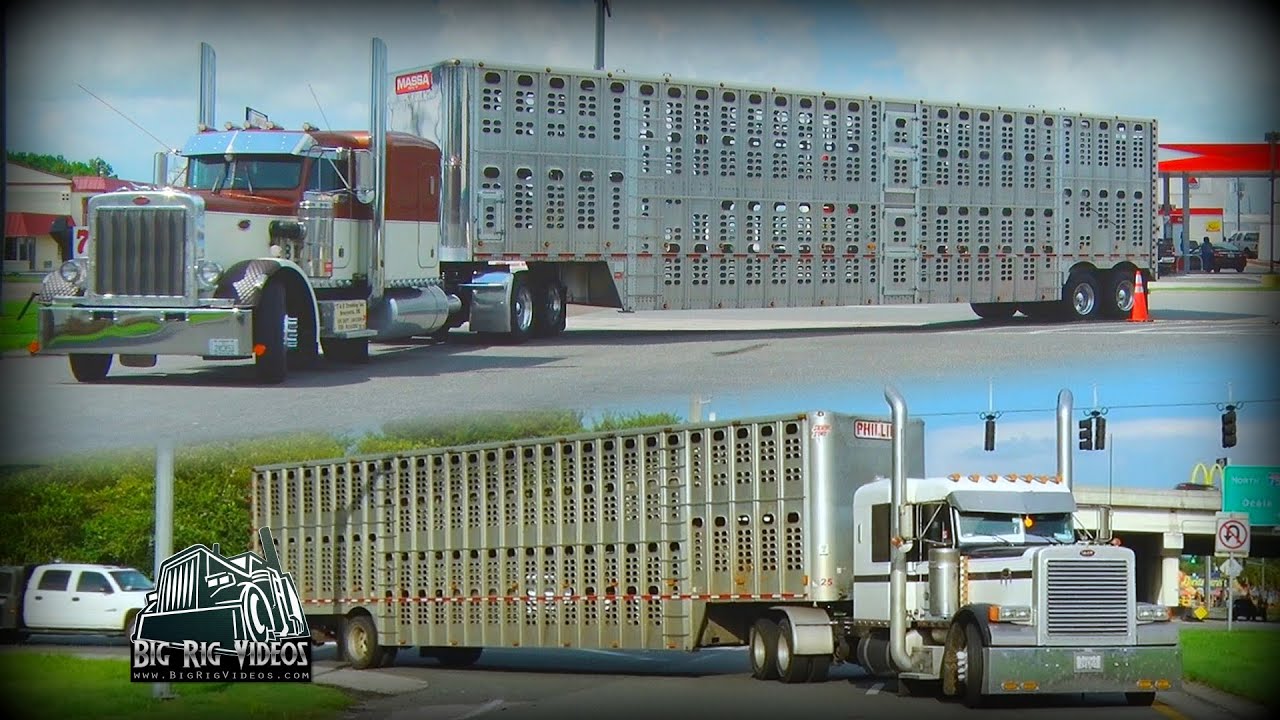 Richardson / Motley - Rolling CB Interview™ - YouTube