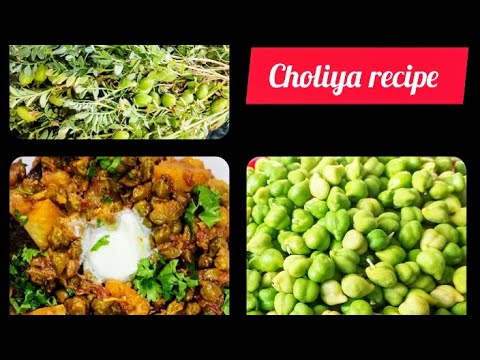 Green dry chickpeas recipe/ easy choliya recipe/ punjabi style winter ...