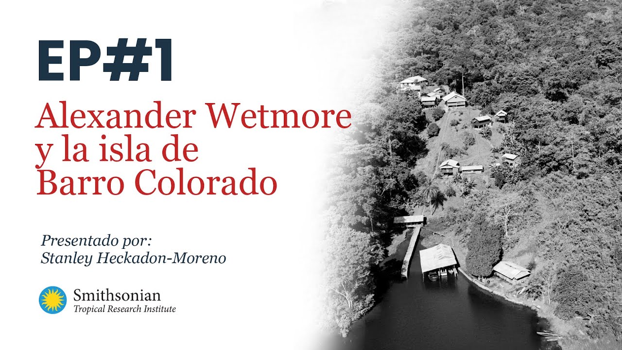 1 Alexander Wetmore en Panamá: Isla Barro Colorado - YouTube