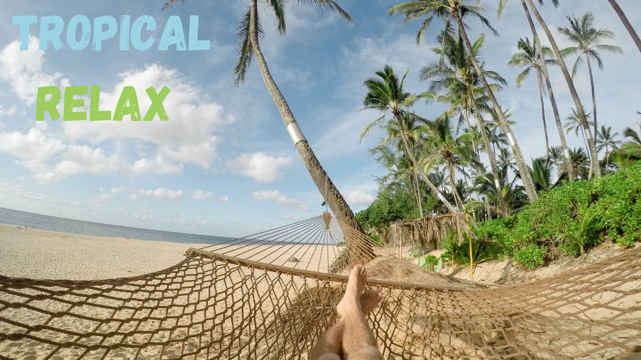 Relaxation tropical musique | Music relaxing tropical - YouTube