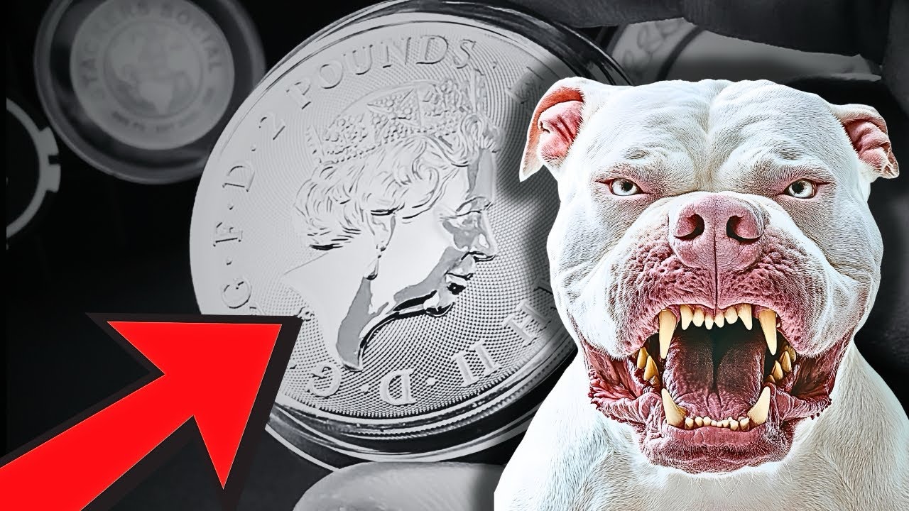 Dog ATTACKS My Latest Silver Purchase! - YouTube