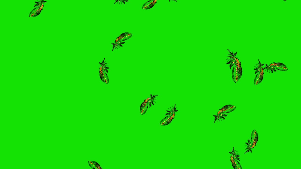 FEATHERS FALLING DOWN - OVERLAY - FREE GREEN SCREEN HD - FREE DOWNLOAD ...