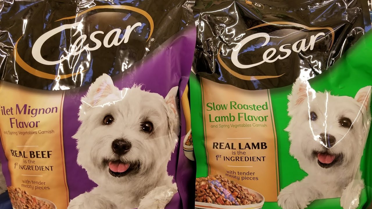 FREE DOG FOOD STOP AND SHOP 🛑 RUN 🛑 - YouTube