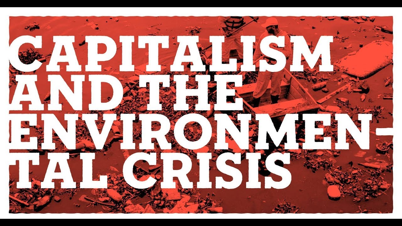 Capitalism and the environment - YouTube
