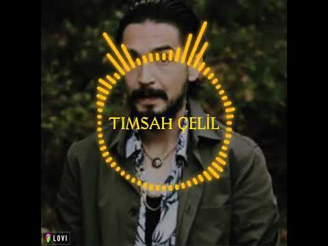 TIMSAH ÇELİL/Adamlar/zombi mahali/çukur muzikleri/