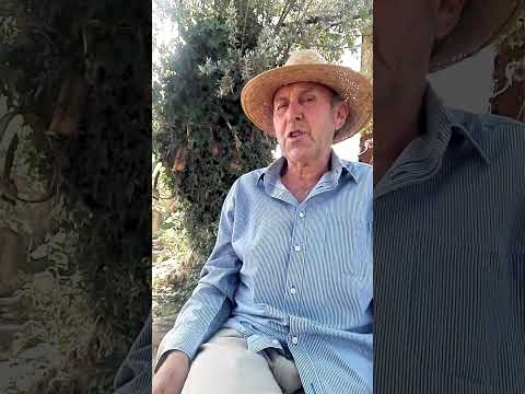 Edip Cansever.Bezik Oynayan Kadınlar...