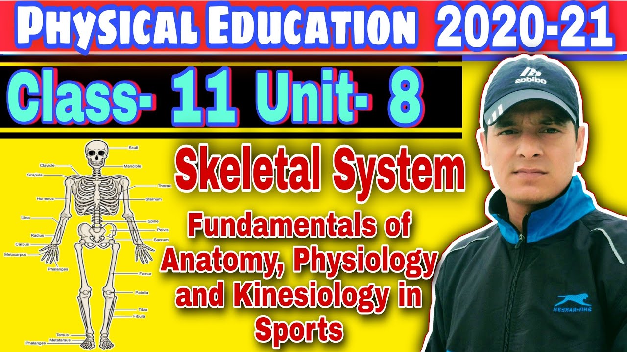 Fundamentals Of Anatomy Physiology And Kinesiology In Sports fundamentals-of-anatomy-physiology-and-kinesiology-in-sports