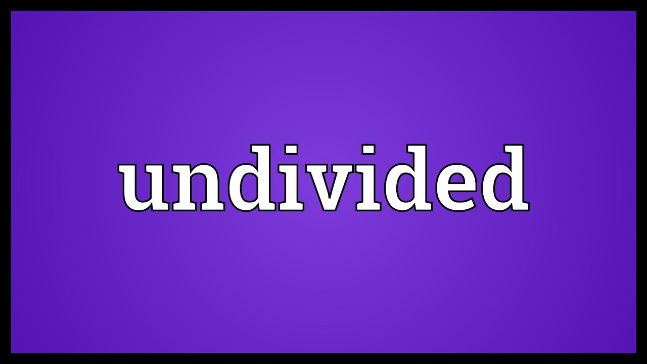 Undivided Meaning - YouTube