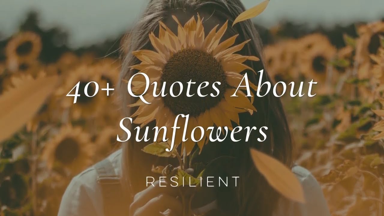 40+ Sunflower Quotes and Sayings to Bring Happiness - YouTube