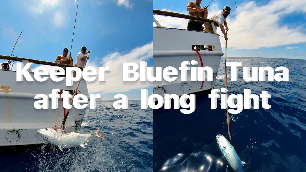 Captain said there are bluefin tuna and he was not kidding triple ...