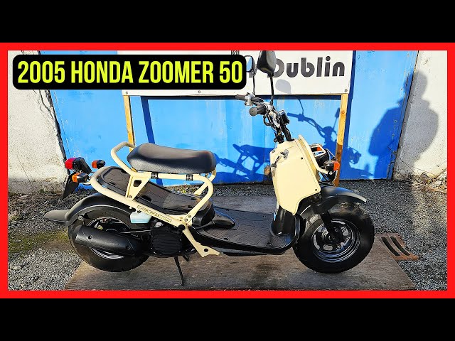 Honda Zoomer Die Geilsten 50ccm Motorrder Roller Honda, Zoomer