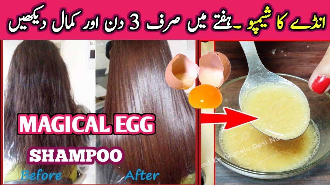 Egg Shampoo For Soft Silky Smooth Hair| Best kitchen & home tips tricks ...