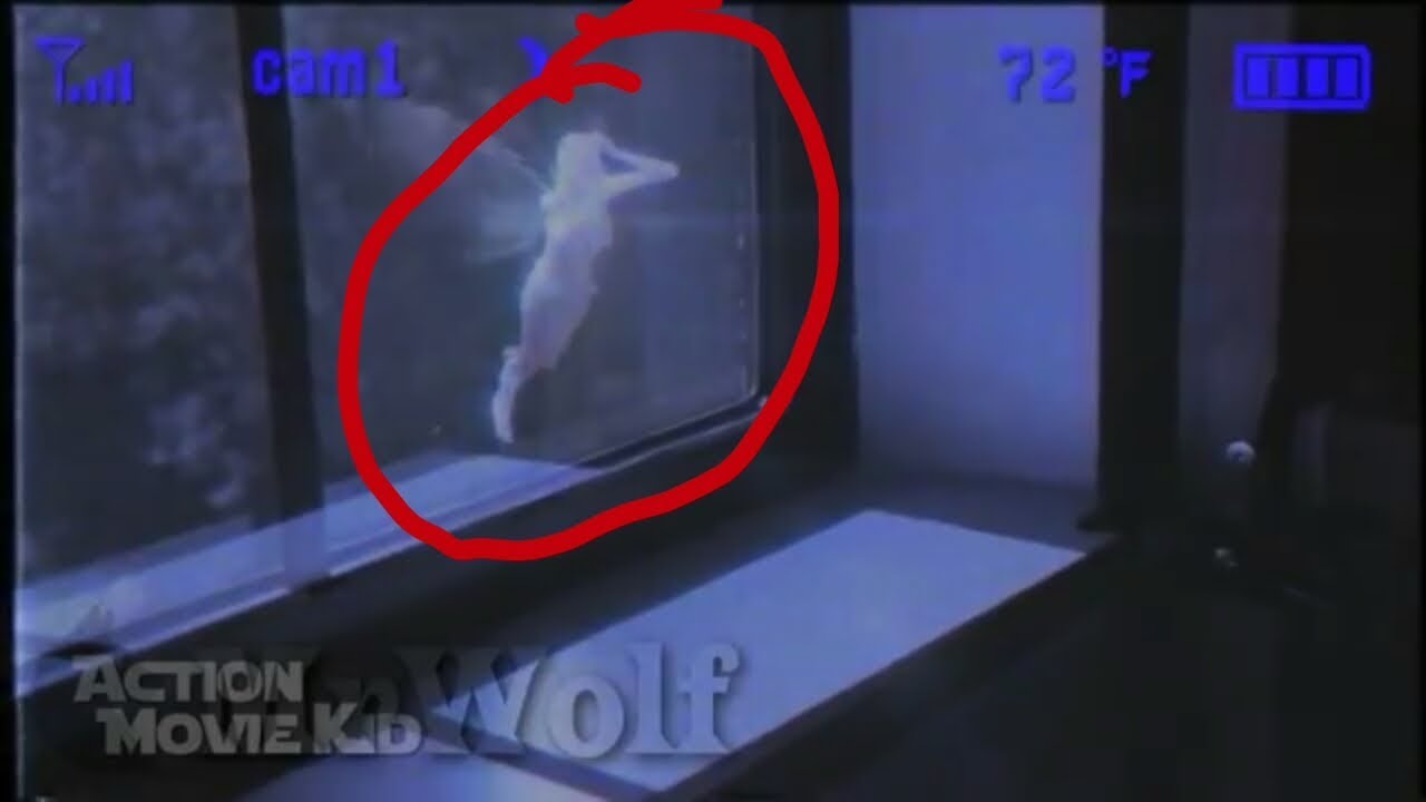 5 Fairy Caught on Camera ( Real Life) - YouTube