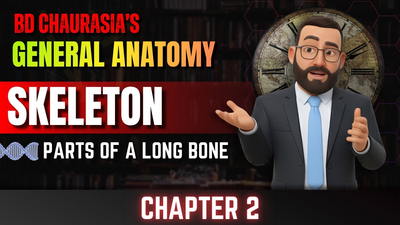Gross Structure Of Adult Long Bone | BD Chaurasia General Anatomy ...