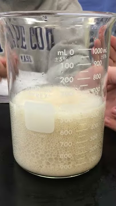 Enzyme Yeast Lab video 2 (kayla Brandes) - YouTube