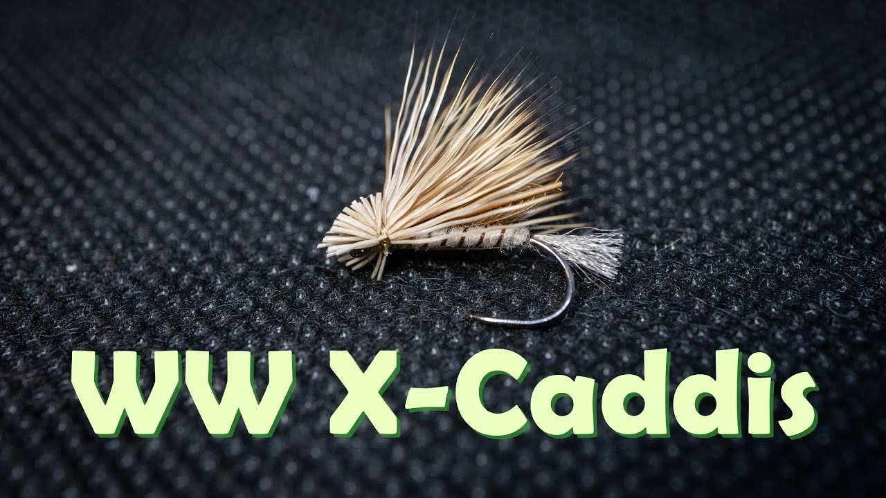 WW X-Caddis - Adding a Little Spice to THE BEST Caddis Dry Fly - YouTube