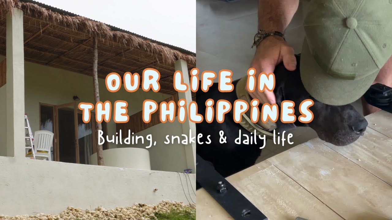 Building Progress in the Philippines 🌴🥥 | Samar Cobra Sighting, Water Tank Completion! - YouTube