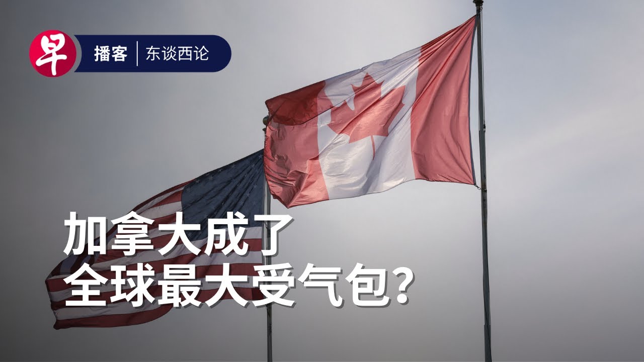 夹在中美之间 加拿大成了全球最大受气包？ Canada: Bearing the brunt of trade wars? #东谈西论 #早报 ...
