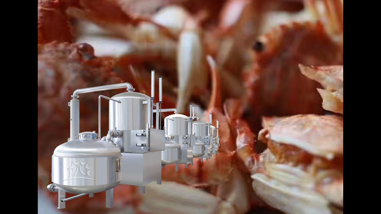 vacuum fried walnut fryer - YouTube