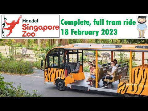 Singapore Zoo Complete, Full Tram Ride on 18 February 2023 Saturday ...