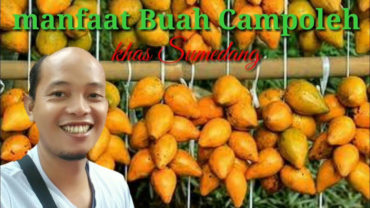 Manfaat buah Campoleh - YouTube
