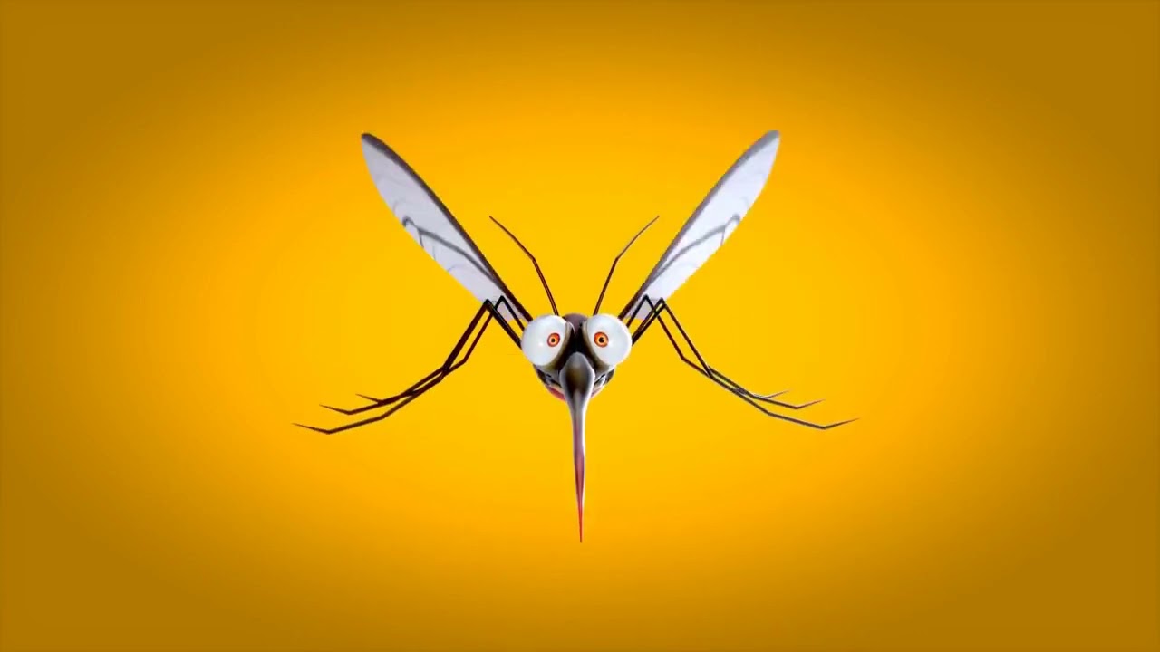 Animated cartoon mosquito flying video - YouTube