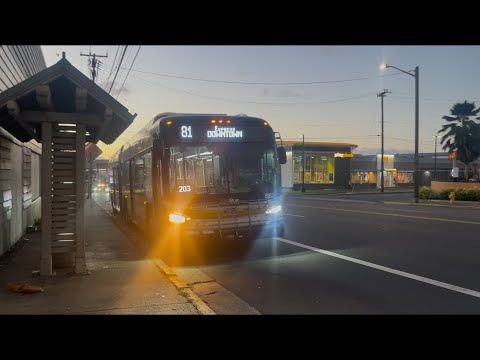 TheBus Honolulu Bus 882 Route 81 EXPRESS! Downtown - YouTube