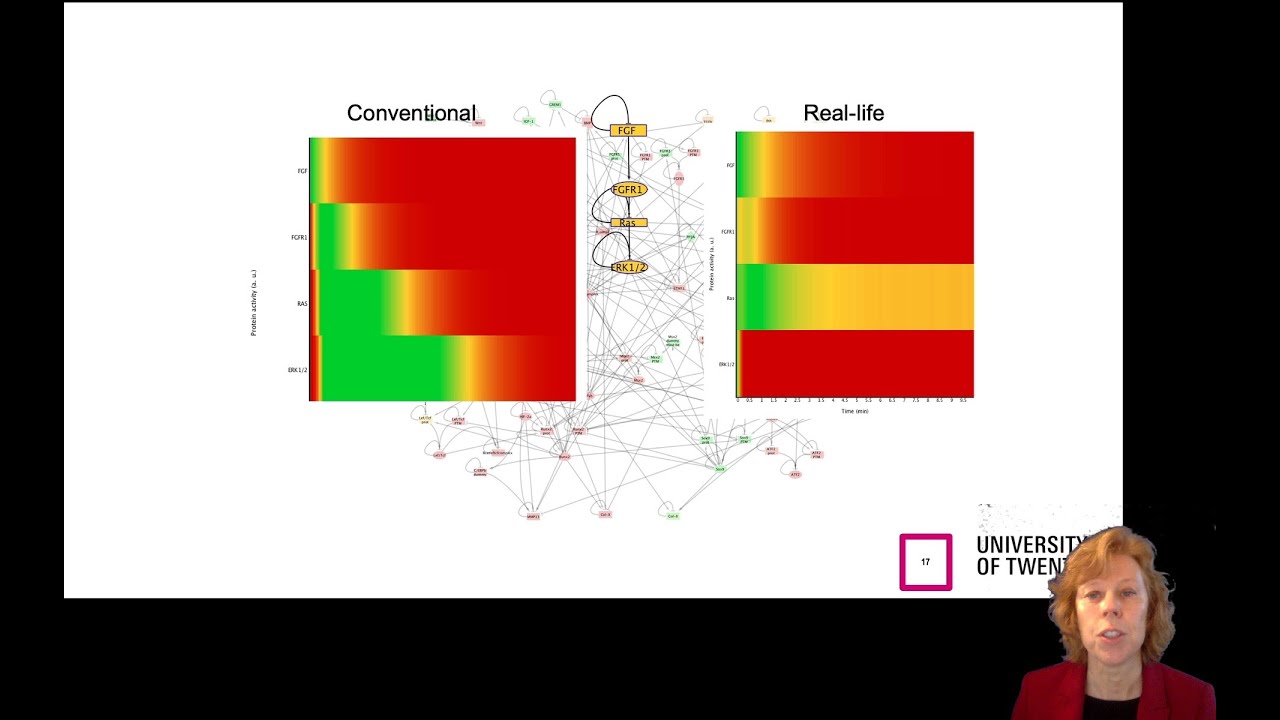 computational modeling of biological networks - YouTube