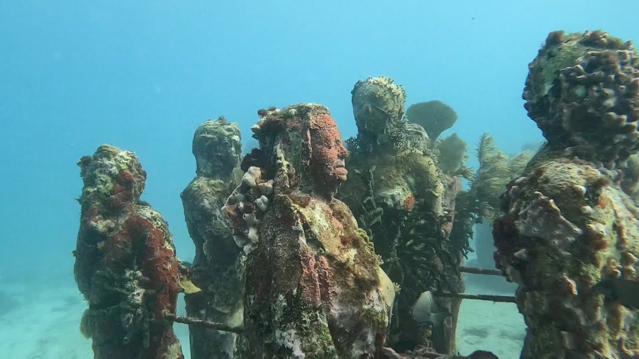 Diving in Mexico 🗿MUSA 🐙Octopus 🐠Stingray 🐟Angelfish 🏝️Isla Mujeres ...