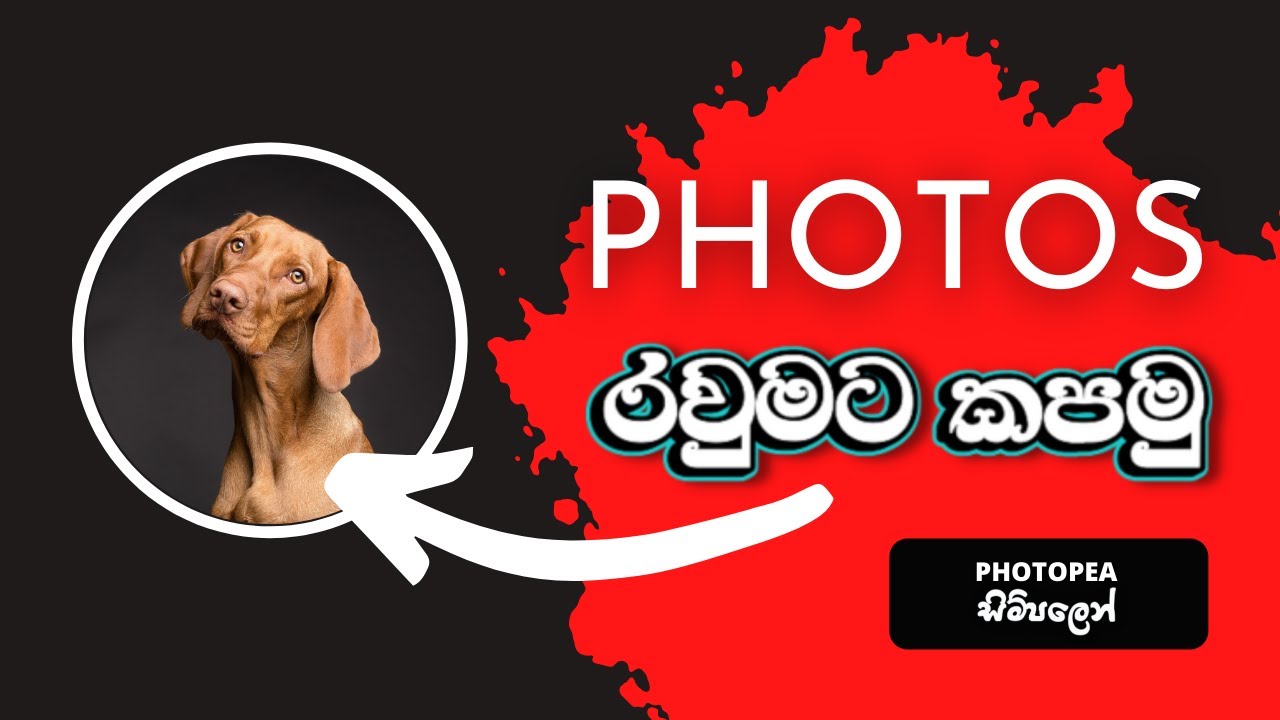 How to Crop Photos in a Circle with Photopea | Tech Notes LK - YouTube