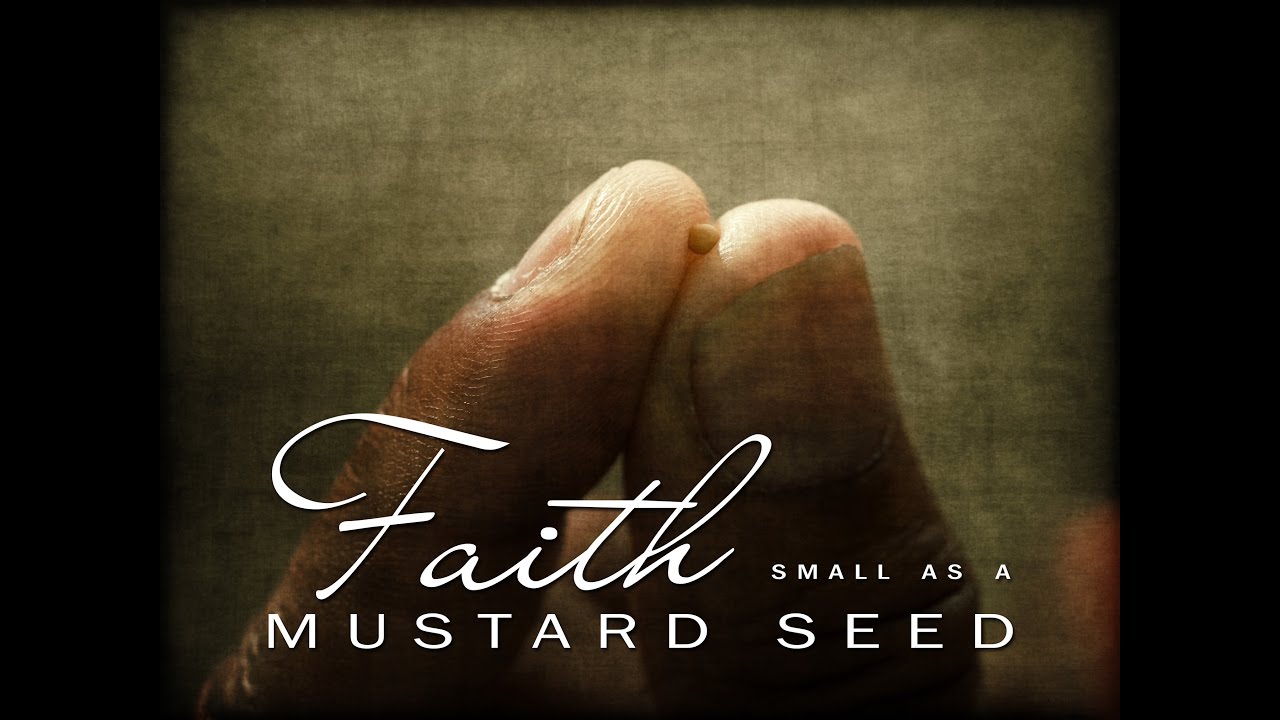 Luke 17 5 6 How Much Faith Do I Need YouTube Luke 17 5 6 How Much Faith Do I Need YouTube