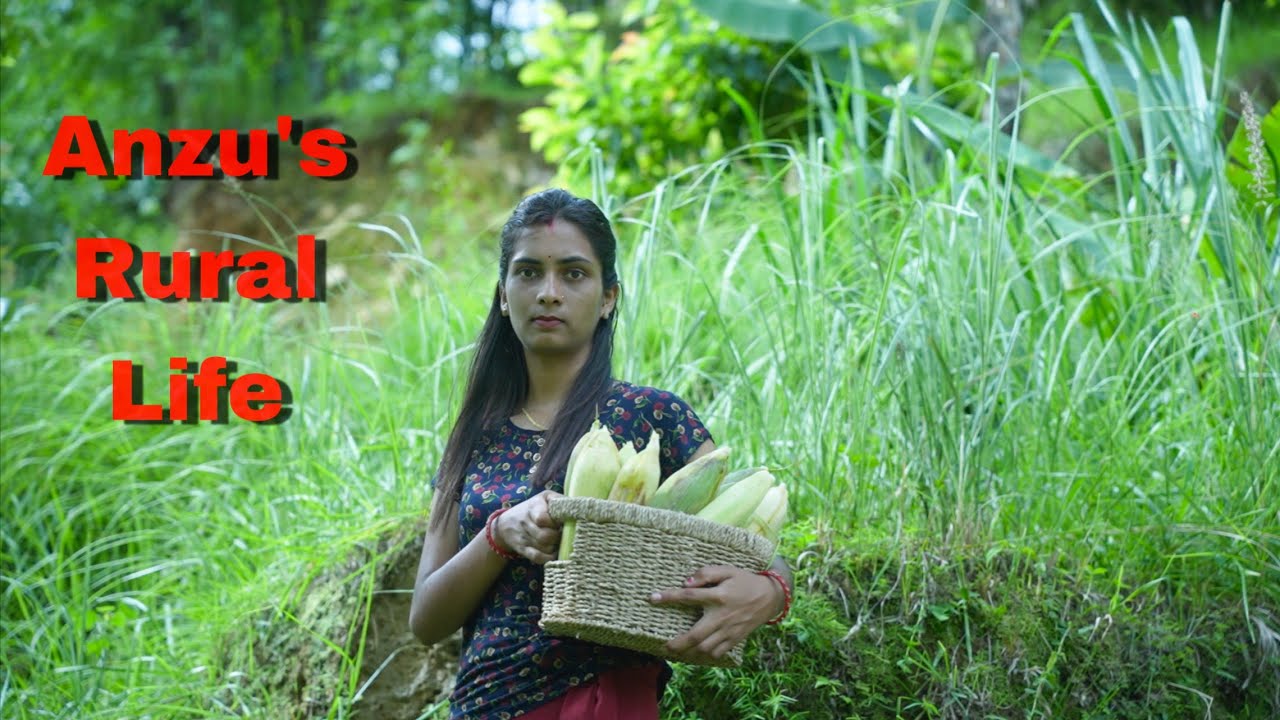 Anzu’s Rural life- Anzu's Making a Corn Pakora Recipes - YouTube
