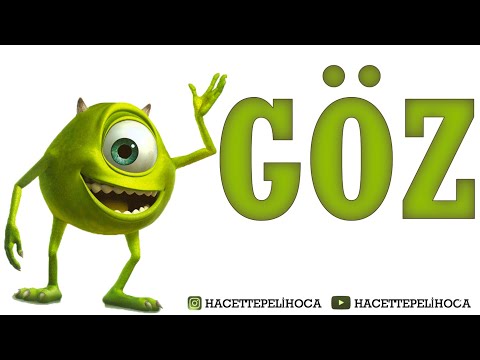 153 | SİNİR SİSTEMİ 19 | DUYU ORGANLARI-1 | GÖZ | 11. SINIF | AYT | #hacettepelihoca #sinirsistemi